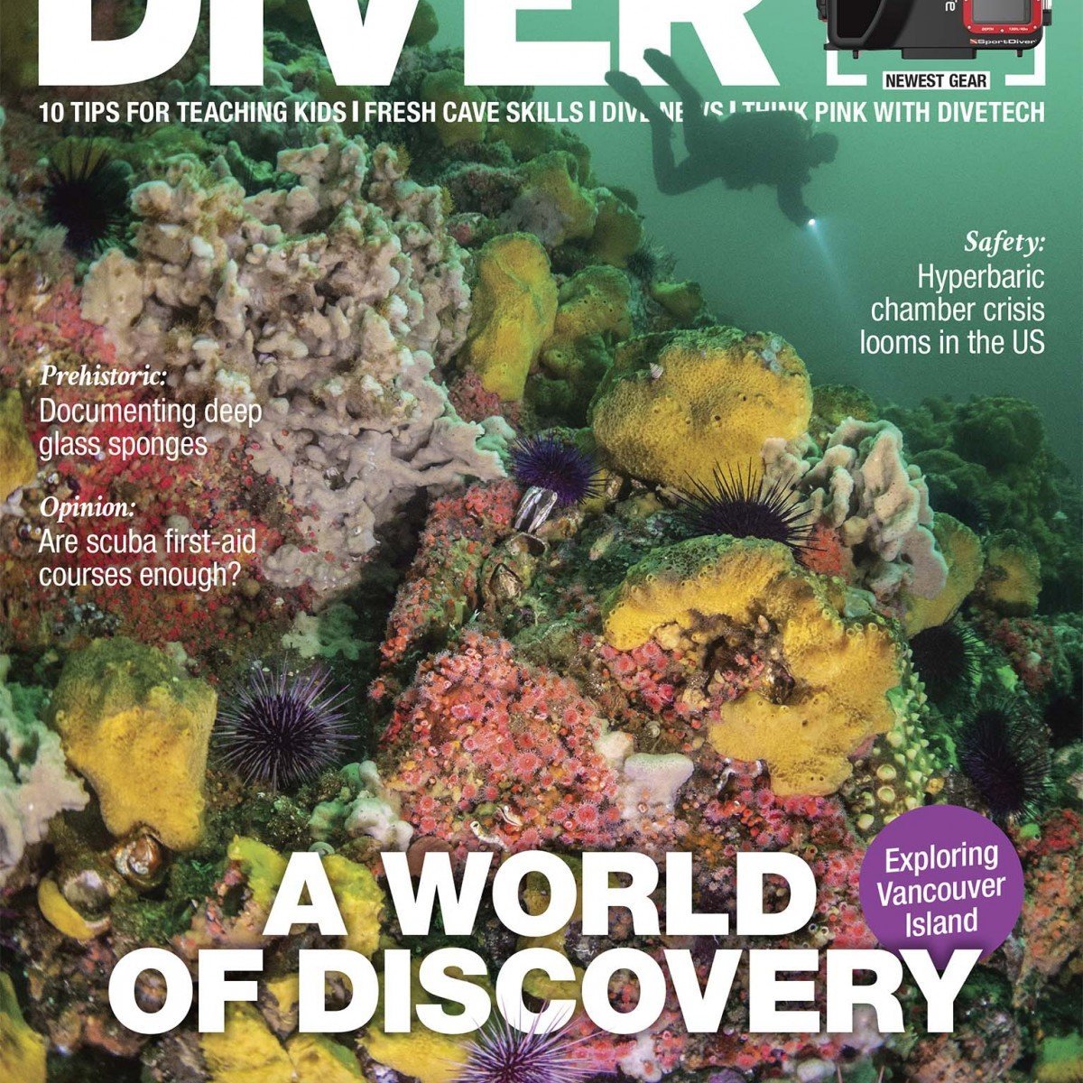 Diver Magazine - Discovery Passage Article | Dive Campbell River, BC ...