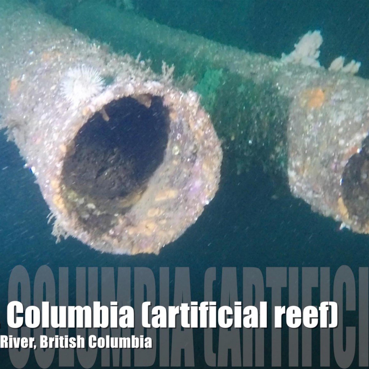 The Columbia (Artificial Reef) | Dive Campbell River, BC, Canada