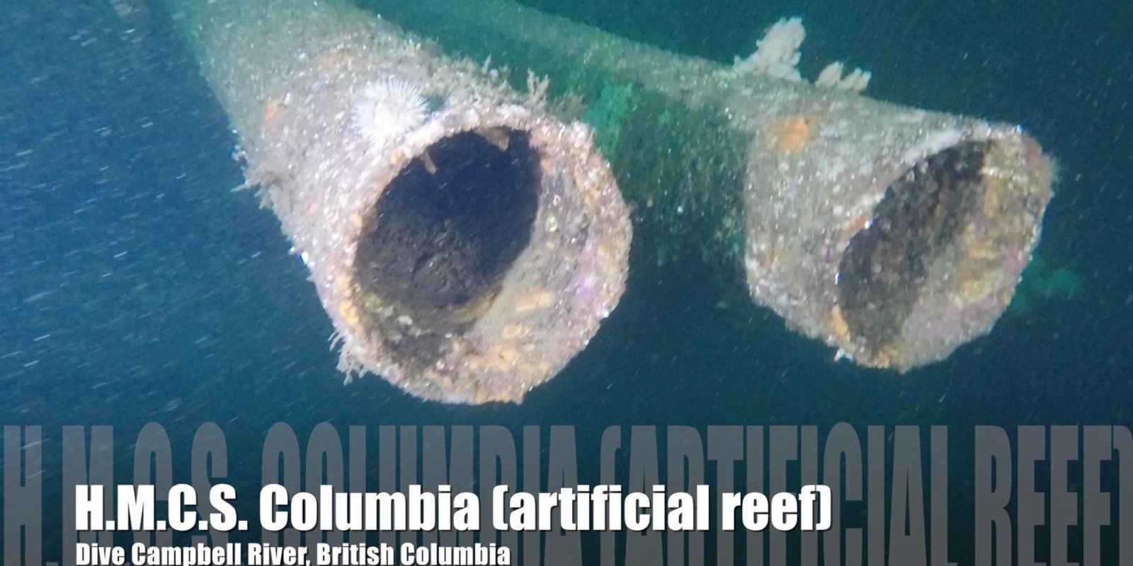 The Columbia (Artificial Reef) | Dive Campbell River, BC, Canada